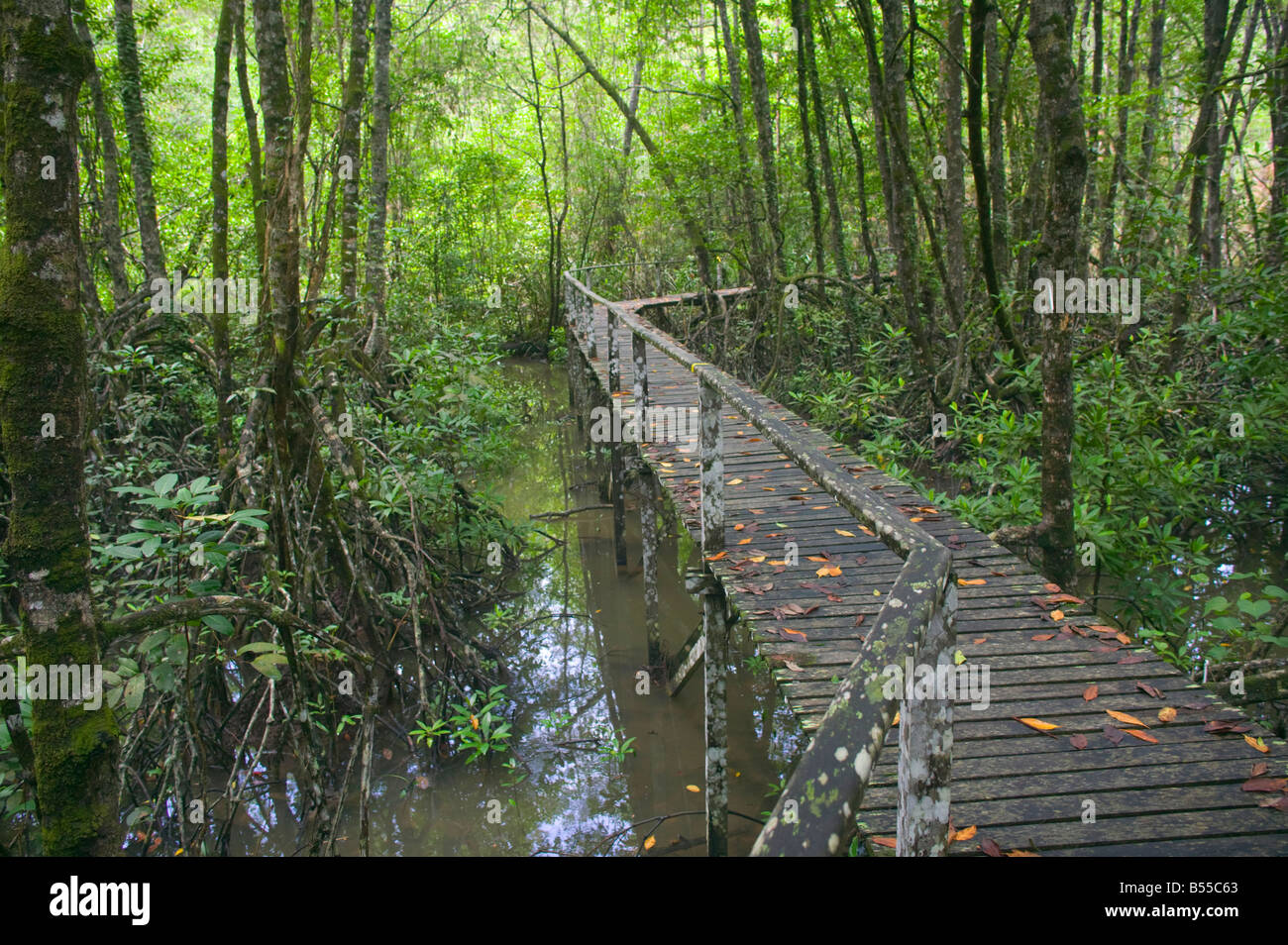 Similajau national park hi-res stock photography and images - Alamy