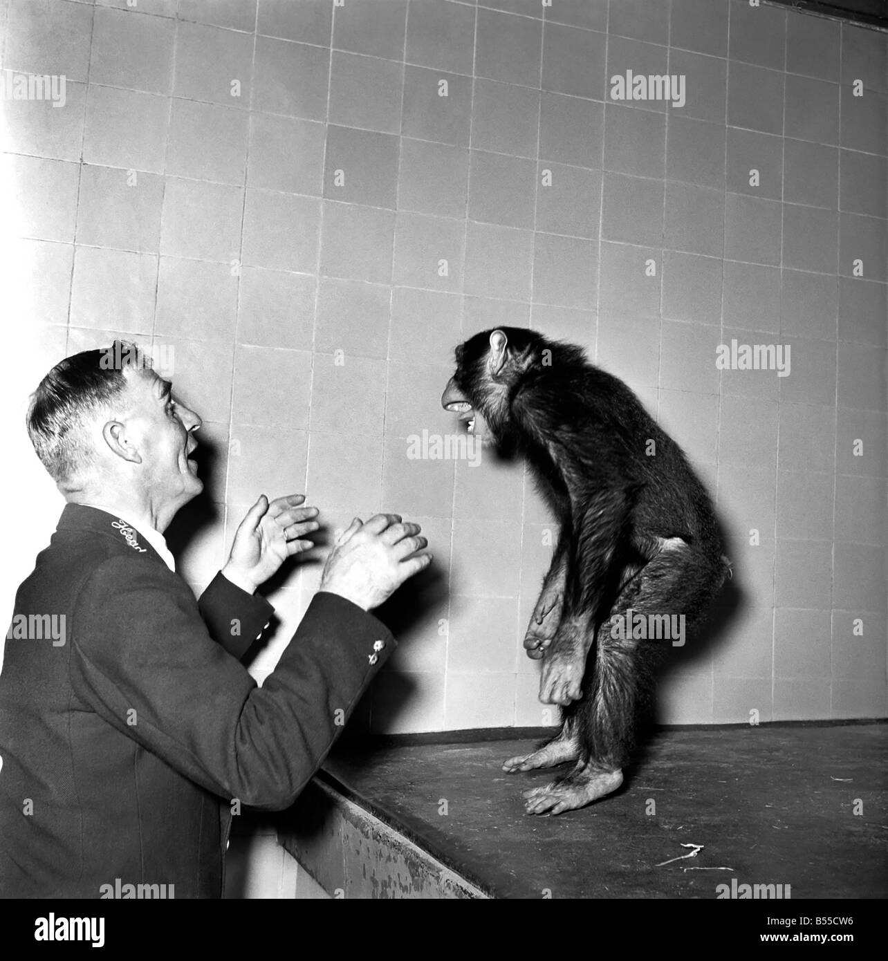 Table manners hi-res stock photography and images - Alamy