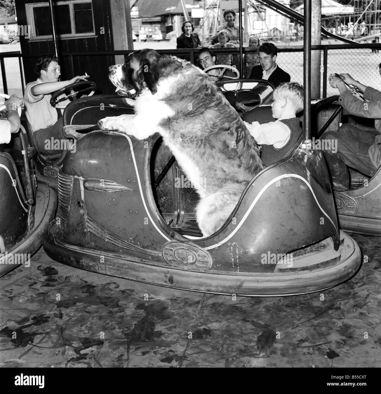 Dodgem car hi-res stock photography and images - Alamy