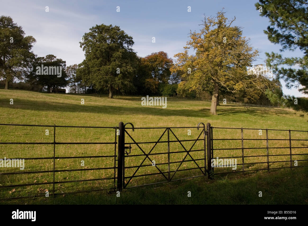The grounds of a country estate Stock Photo - Alamy