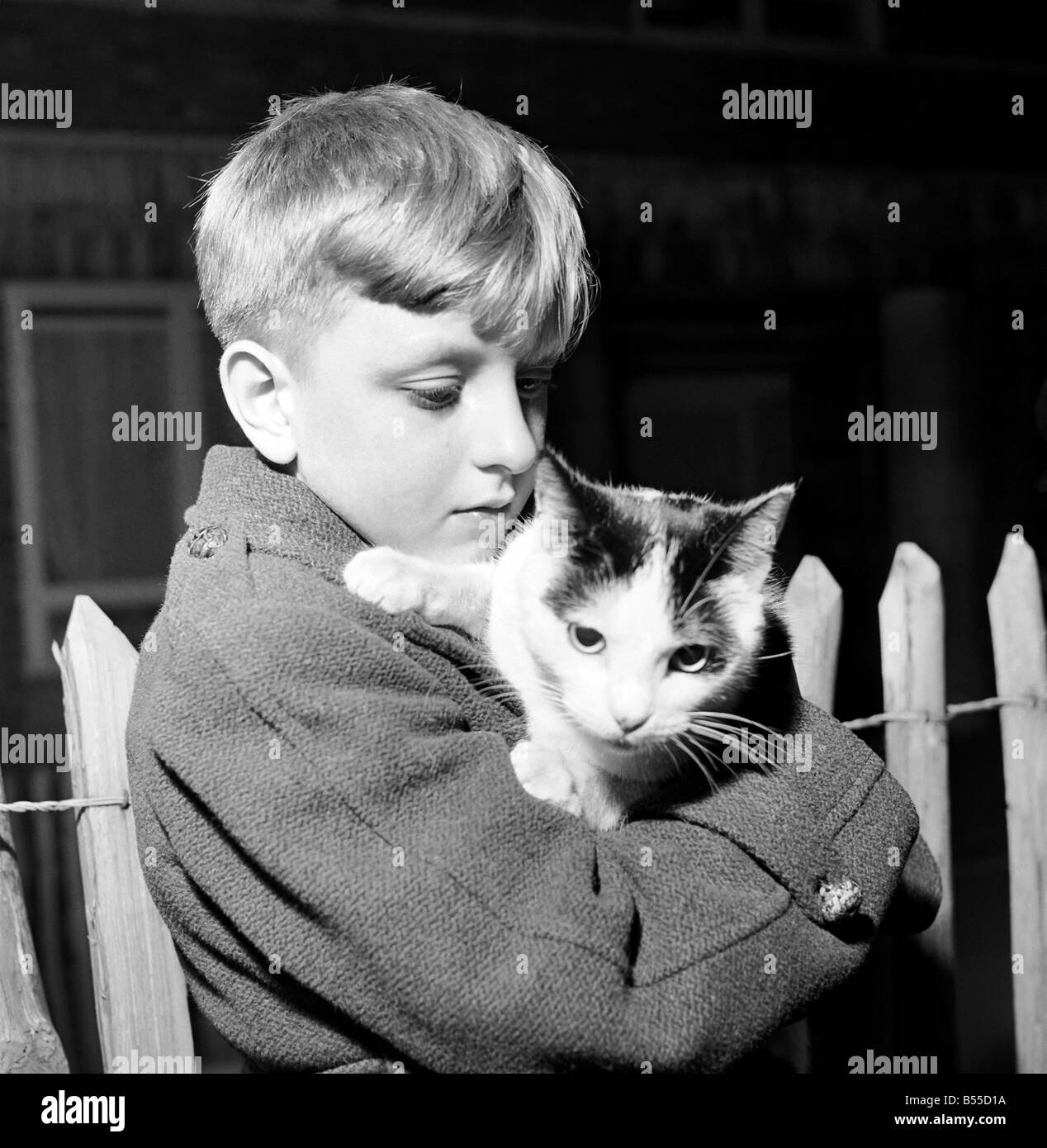 The boy with the cat Black and White Stock Photos & Images - Alamy