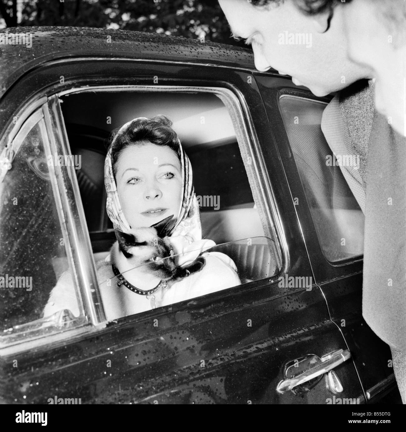 Vivien Leigh leaving her flat at 54 Eaton Square tonight at 6.15 pm ...