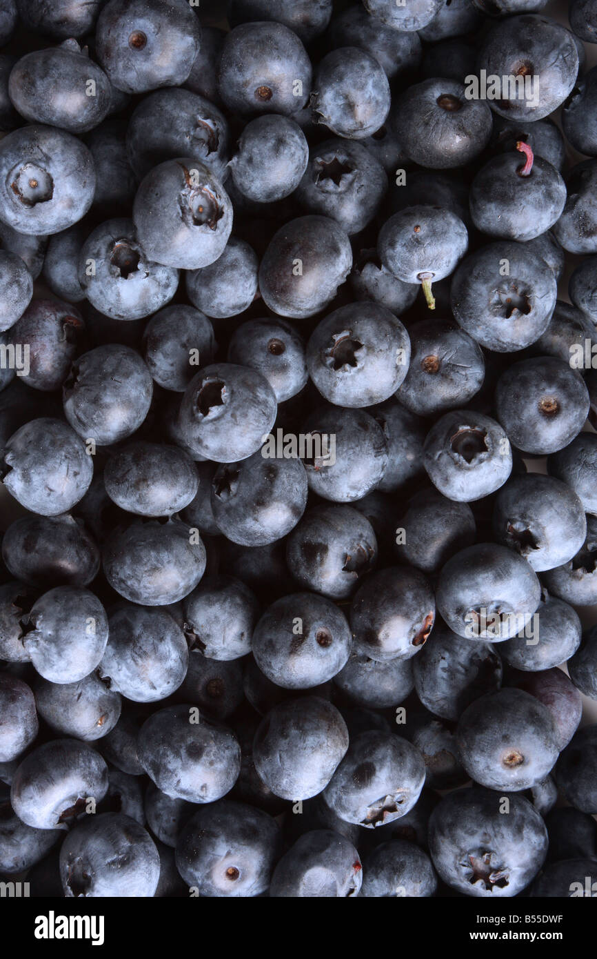 bunch of fresh blueberries good fruit background Stock Photo - Alamy