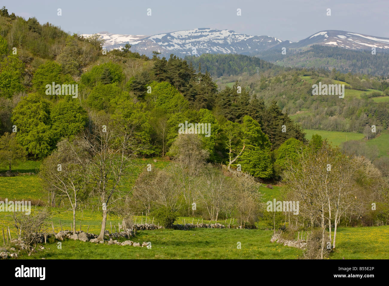 The Auvergne in spring looking towards the Monts du Cantal Auvergne ...