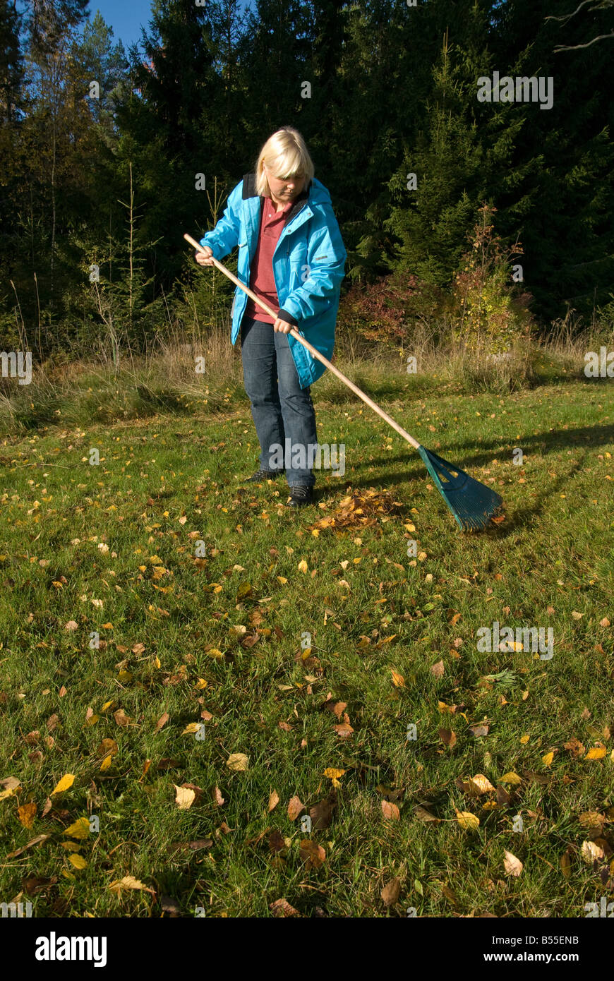 Rake for gardening hi-res stock photography and images - Alamy