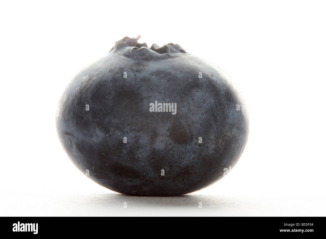 One blueberry shot with a macro lens from the side high key lighting ...