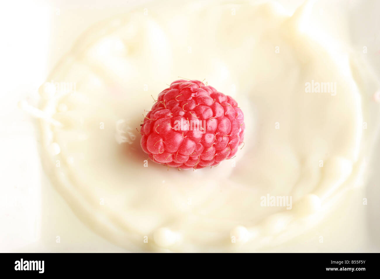 fresh red raspberry splashing in milk Stock Photo - Alamy