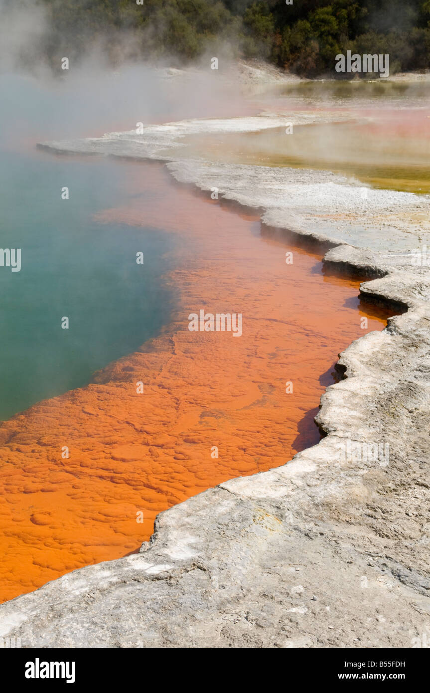 The Champagne Pool geothermal spring at the Wai-O-Tapu thermal area ...