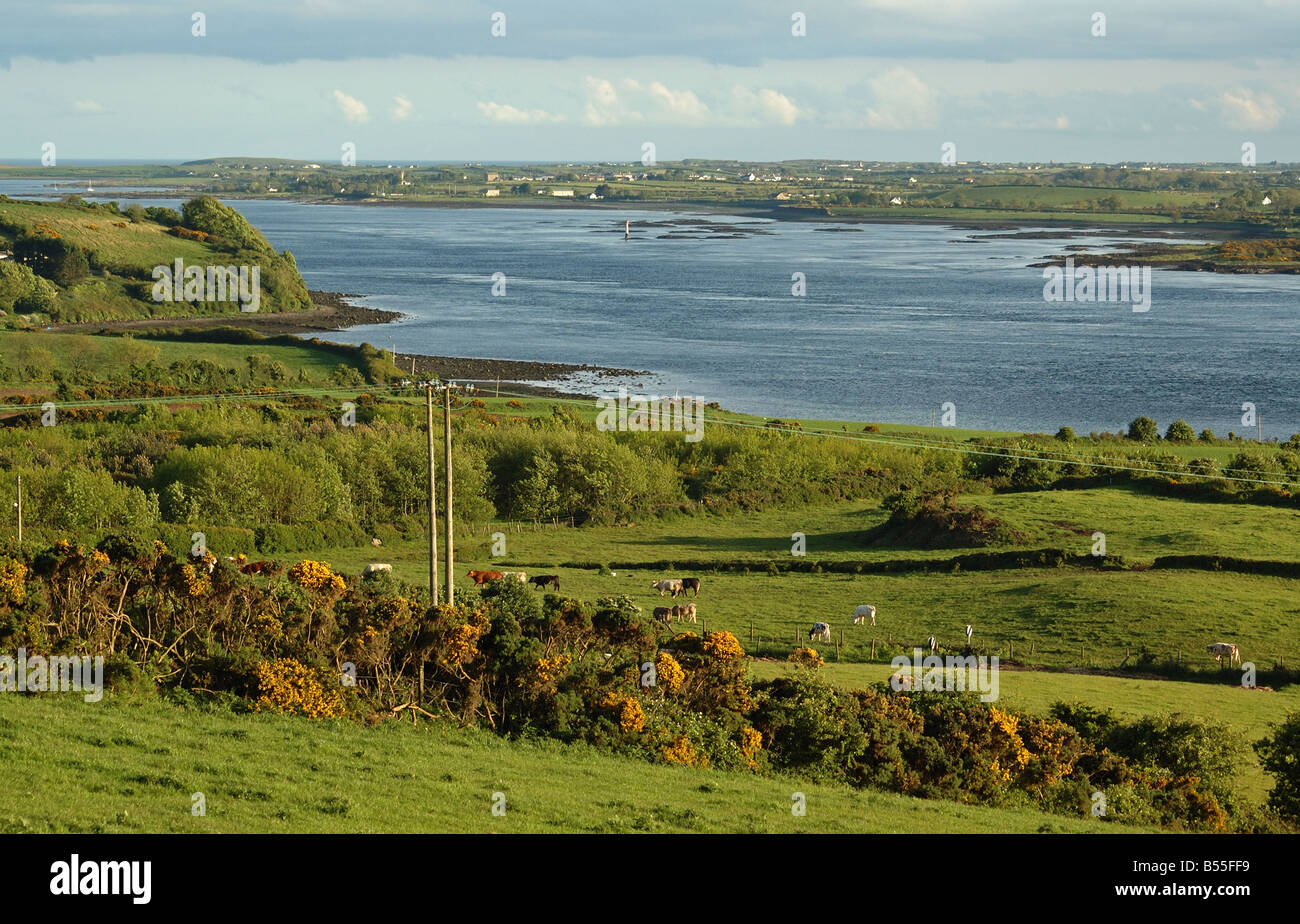 Strangford lough the narrows hi-res stock photography and images - Alamy