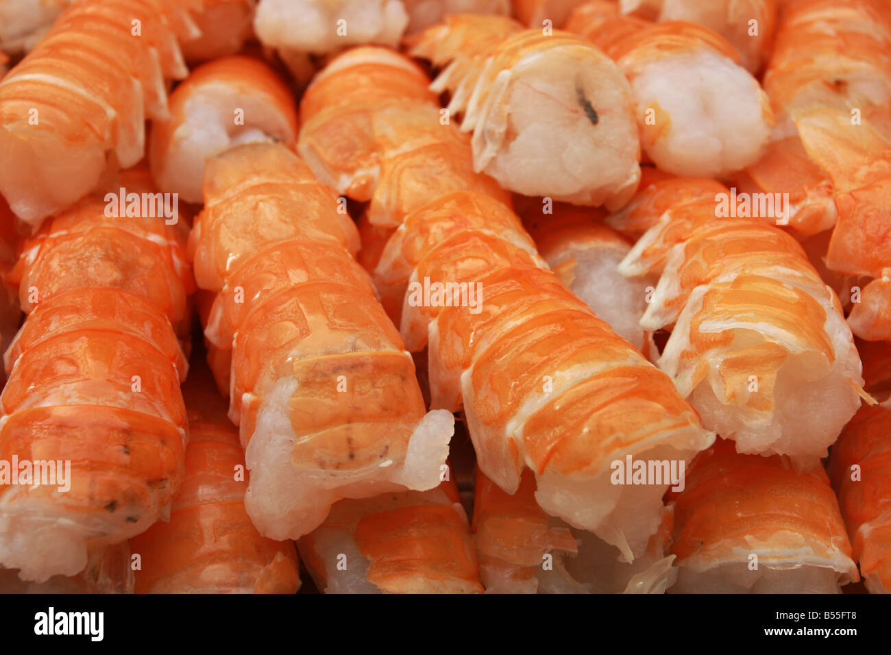 Raw uncooked lobster tails great for backgrounds and seafood images ...