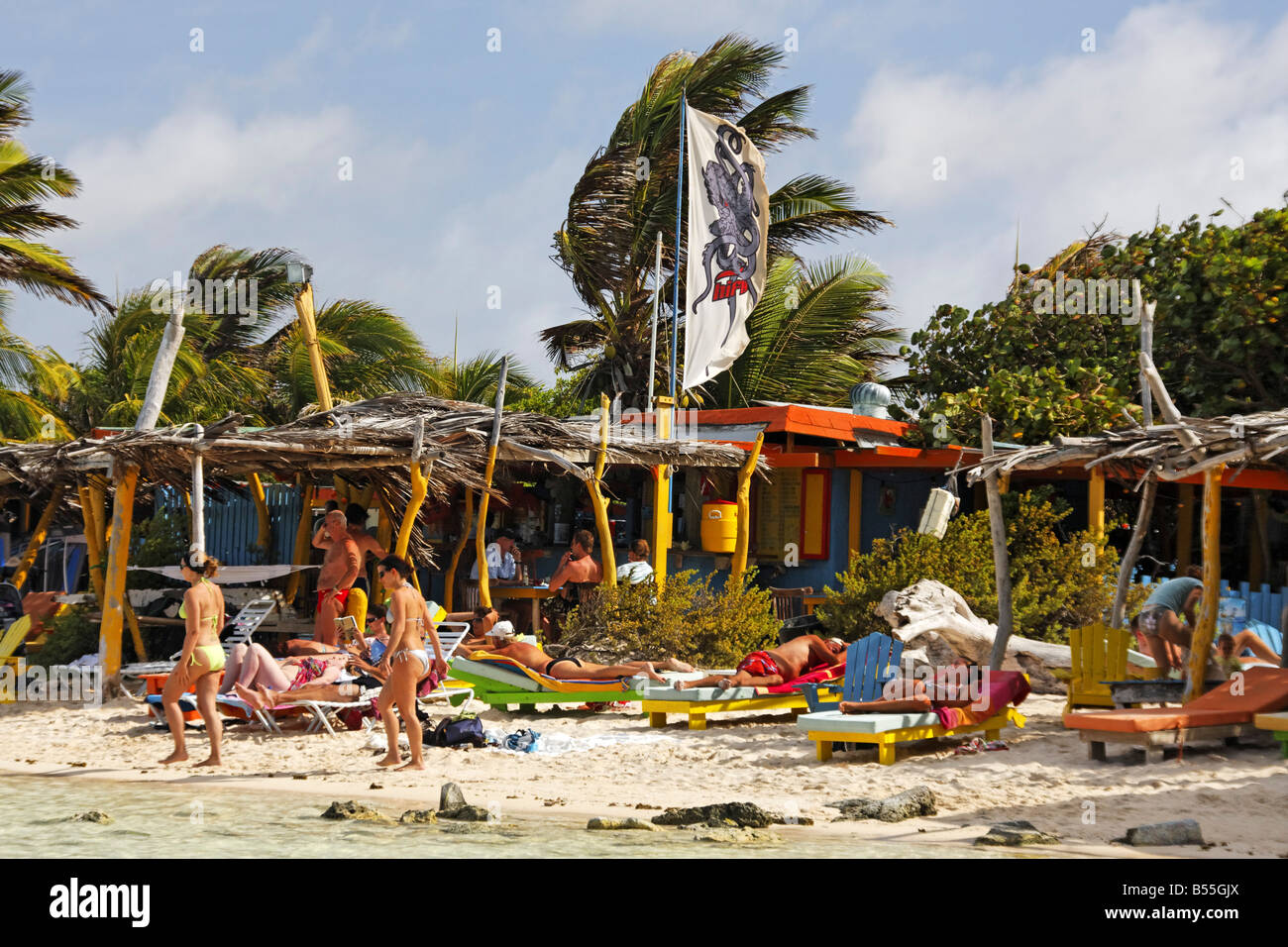 West Indies, Bonaire, Lac Bay surfer beach Stock Photo - Alamy