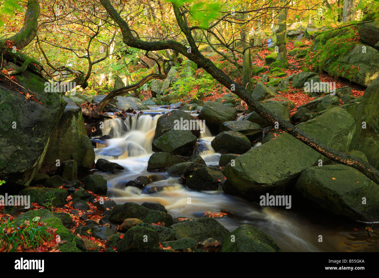 Burbage Brook flowing through Padley Gorge near Grindleford Derbyshire ...