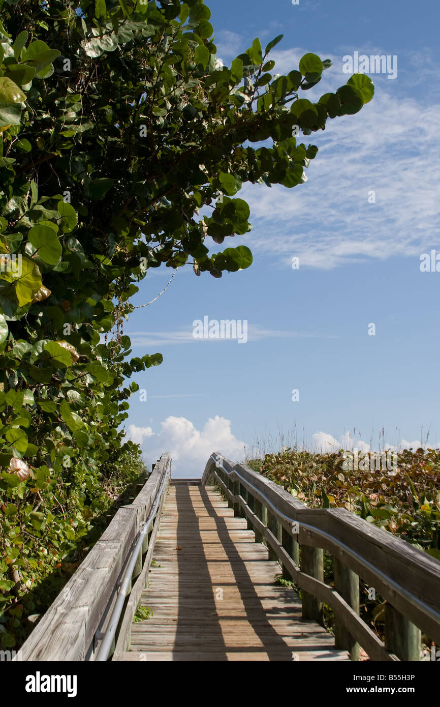 A walkway to a Florida beach Stock Photo - Alamy