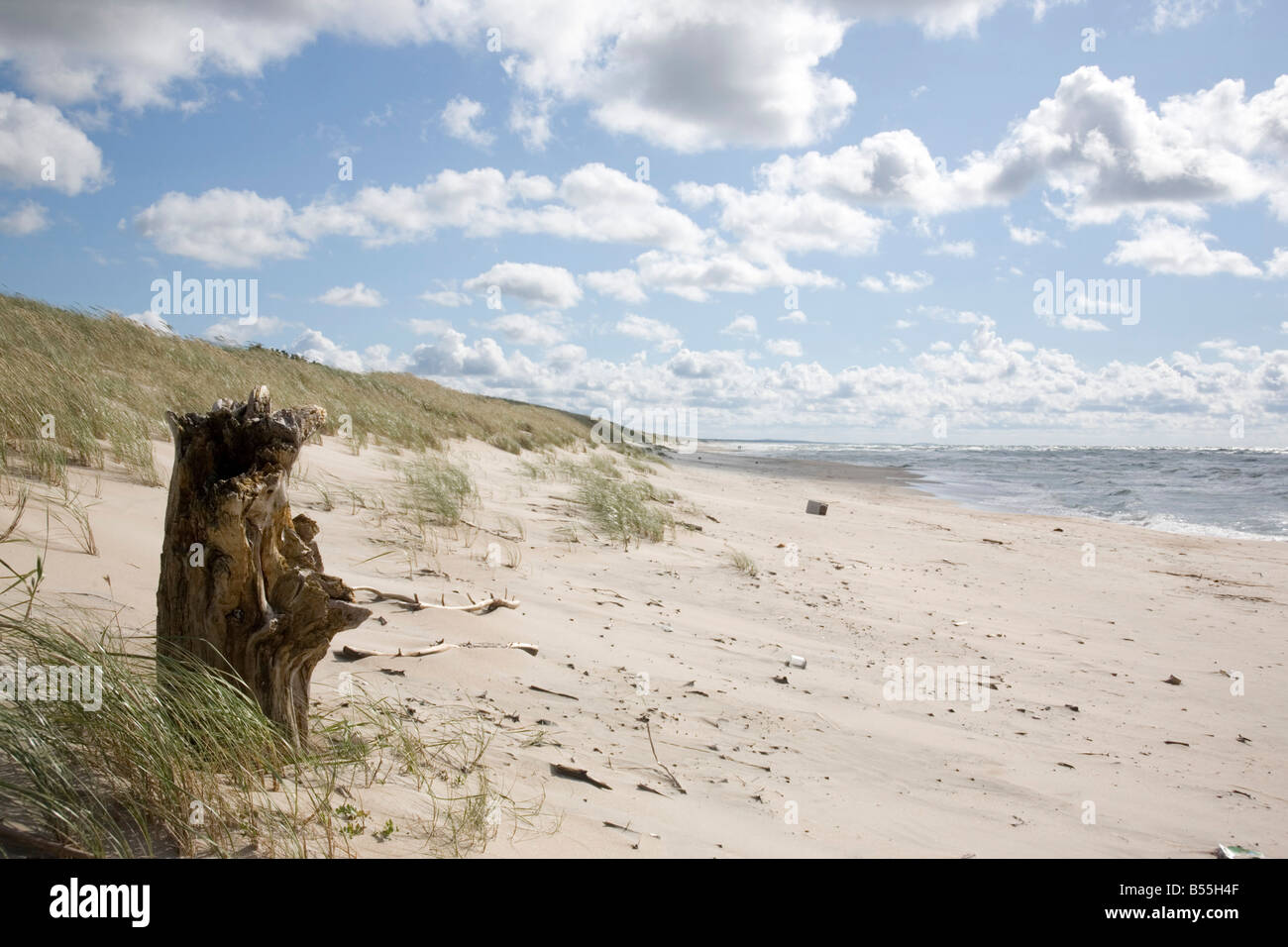 Lithuanian beach hi-res stock photography and images - Alamy