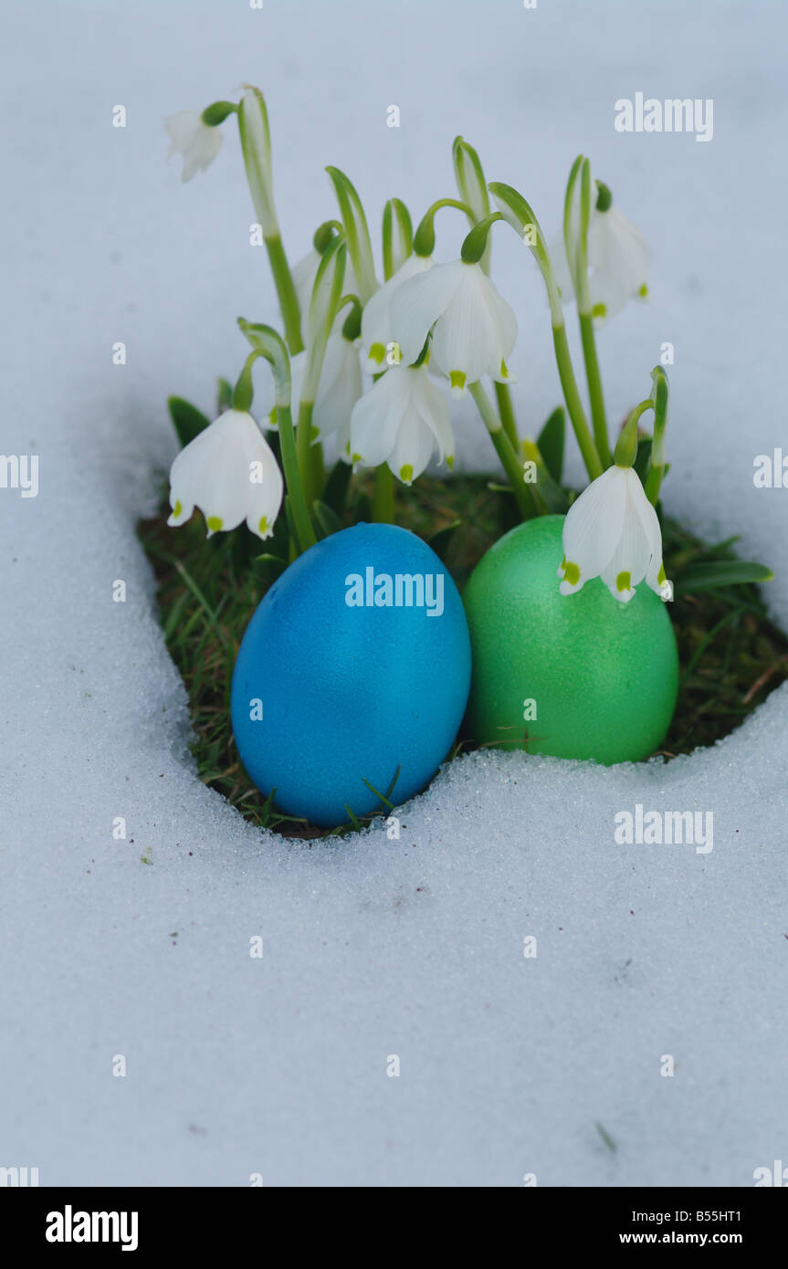 Snow white lilies hi-res stock photography and images - Alamy