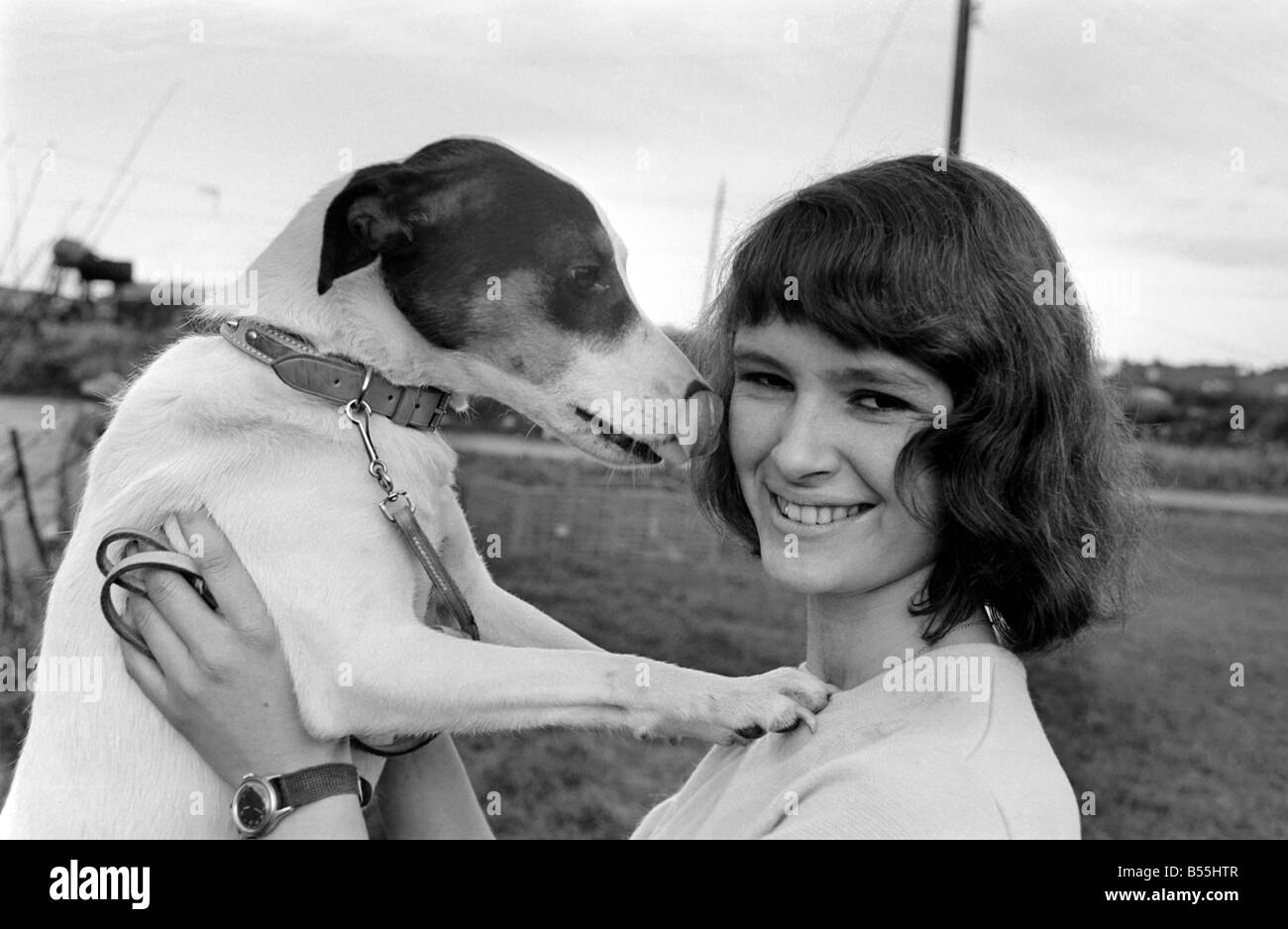 Animals Dogs: Home sick Lisa the rehomed stray returns to RSPCA Home ...