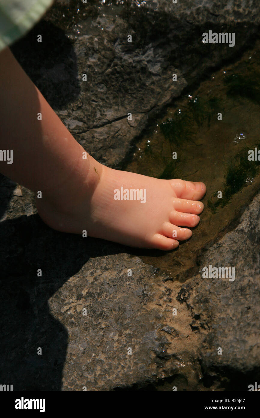Exploration of rock pools hi-res stock photography and images - Alamy