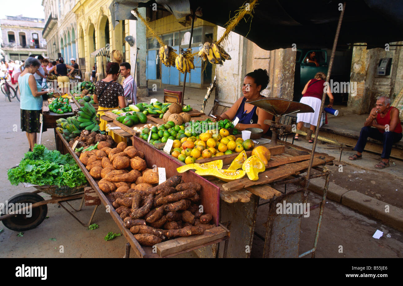 A fruit and vegetable street market in Old Havana Cuba Stock Photo - Alamy