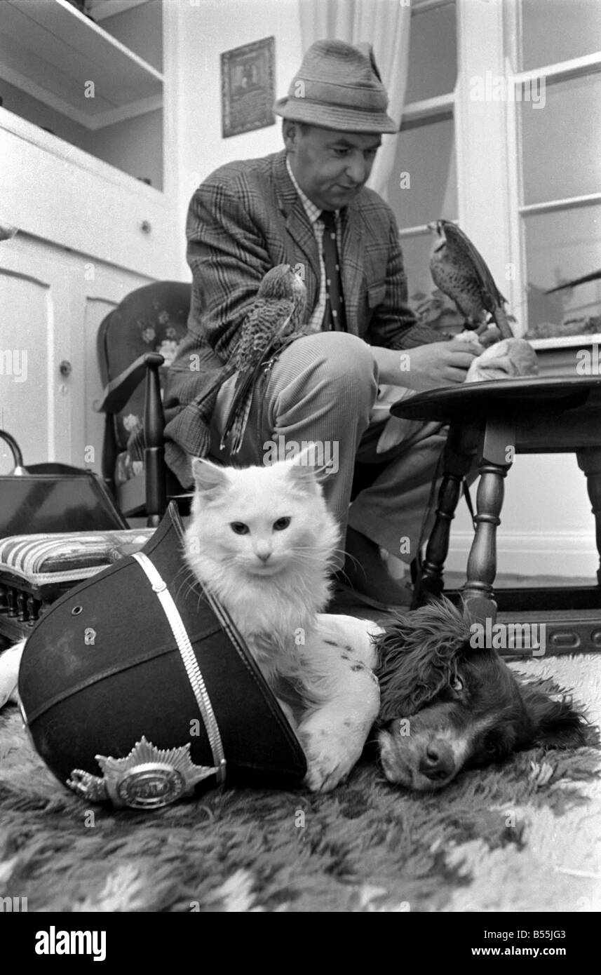 Welsh policeman Ken Williams, 40, has just moved to a new posting at ...