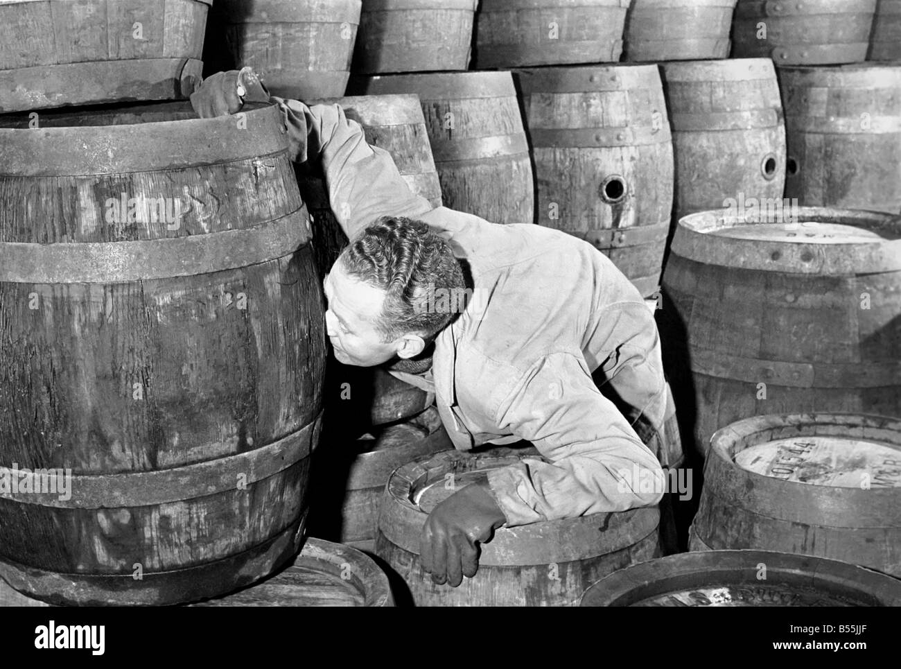 Fred Wycherley of Wolverhampton is a Smeller the official smeller and ...