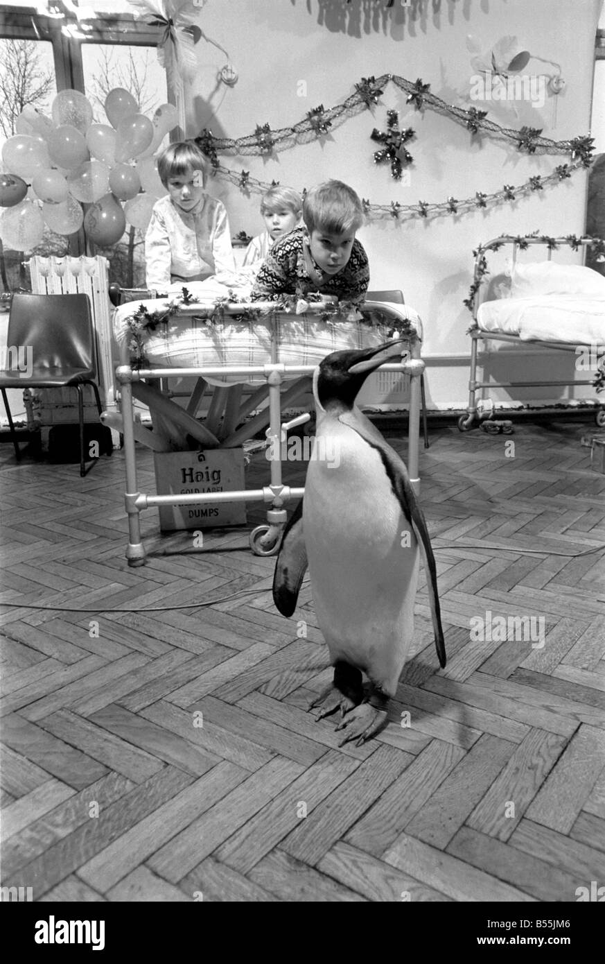 A surprise visitor to ward (B) at Seacroft Hospital, Leeds, was ...