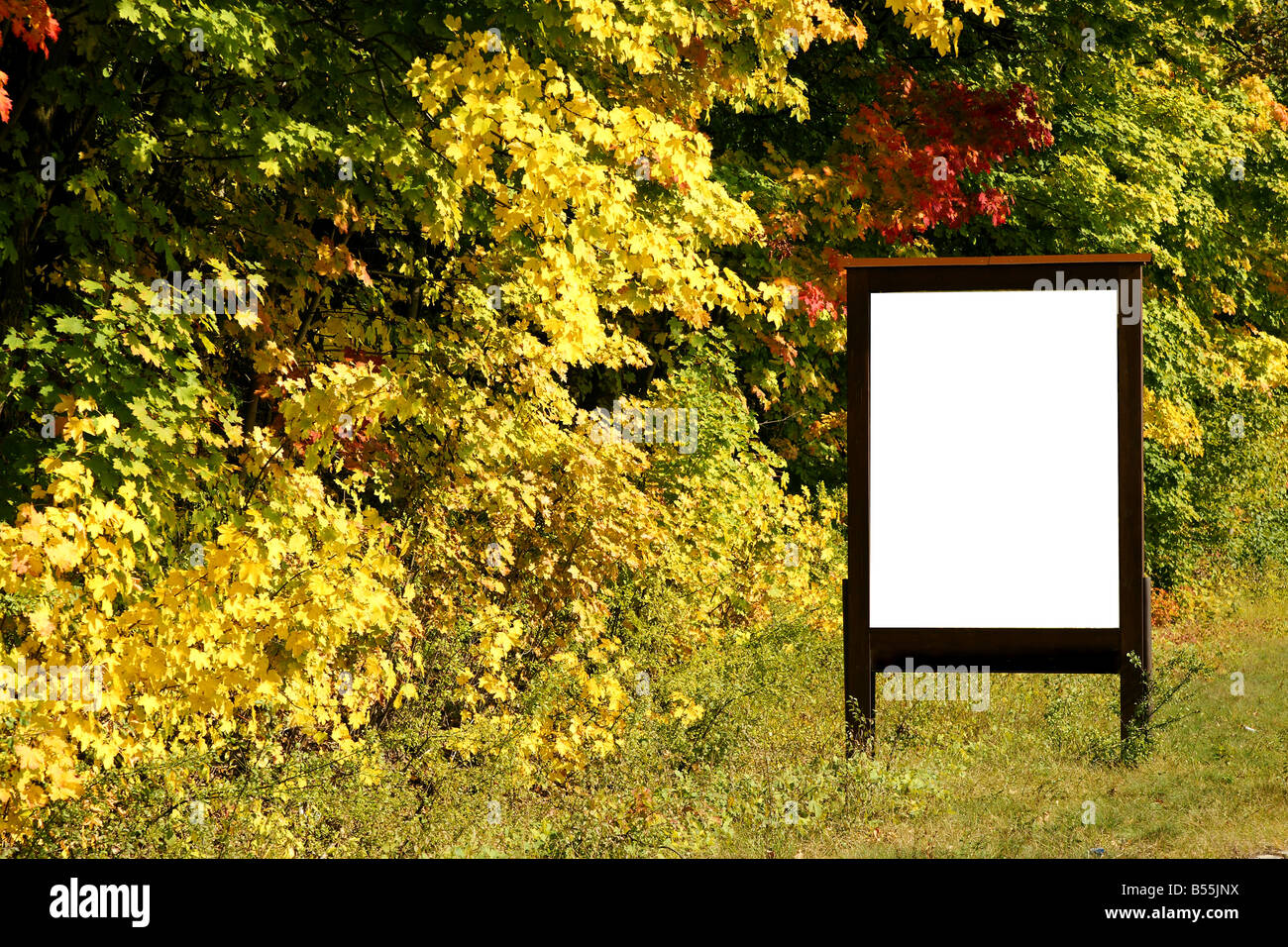 billboard next to autumnly colored trees Stock Photo - Alamy