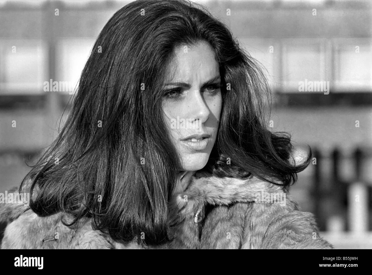 Actress Anne Irving posing for pictures. November 1969 Z12534-003 Stock ...