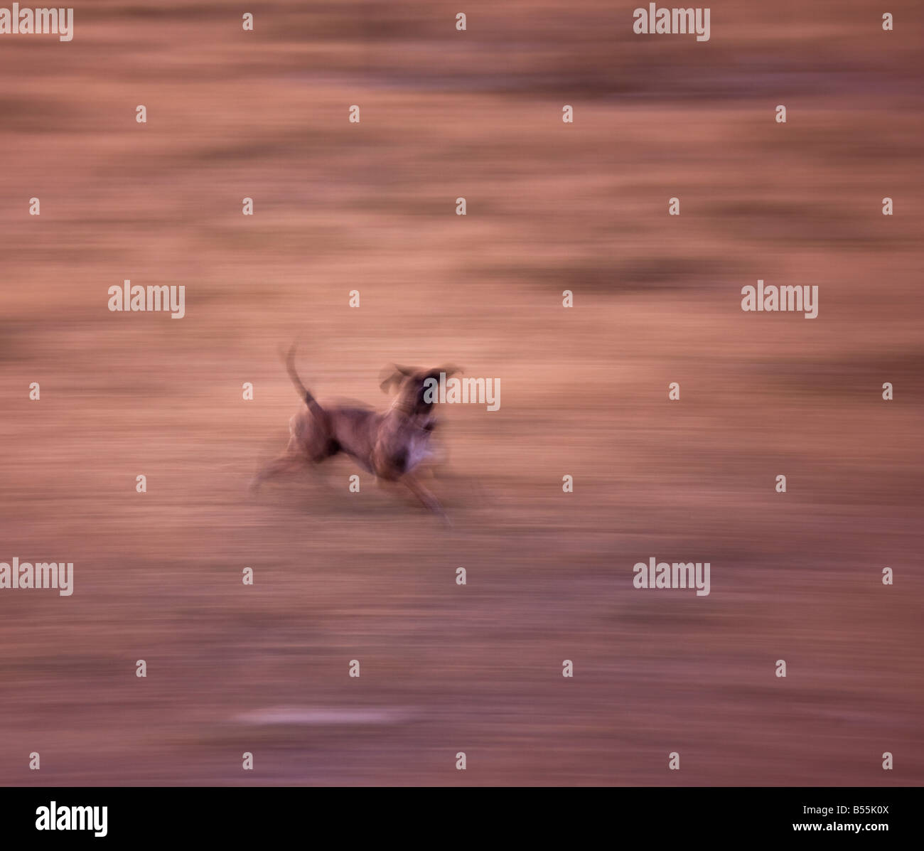 Running movement hi-res stock photography and images - Alamy