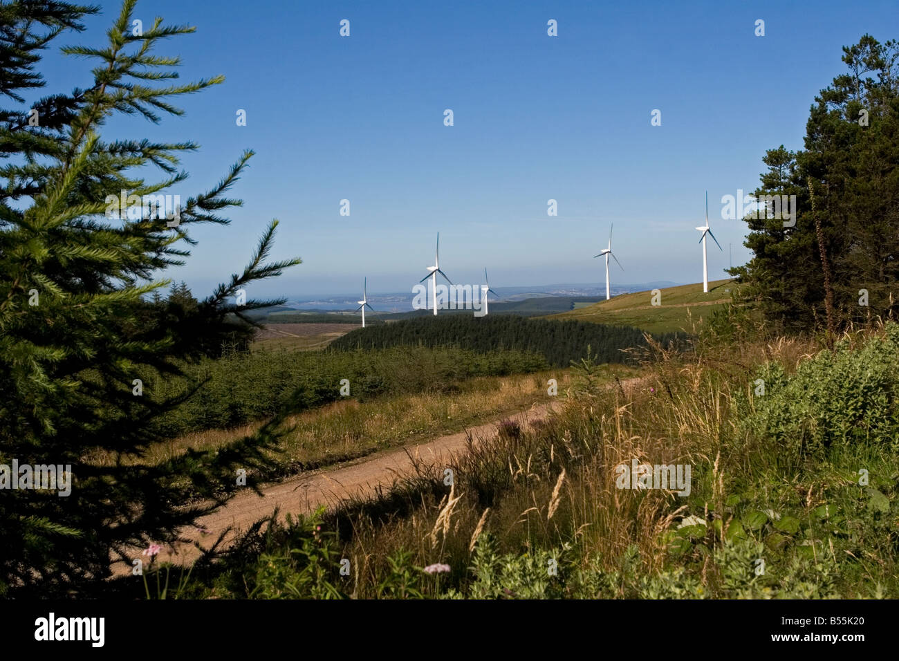 Ffynon Oer wind farm providing electricity to around 17,000 homes in ...