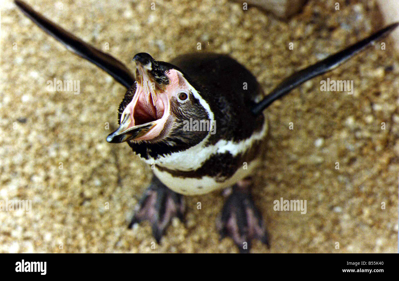 06 06 1992 hi-res stock photography and images - Alamy