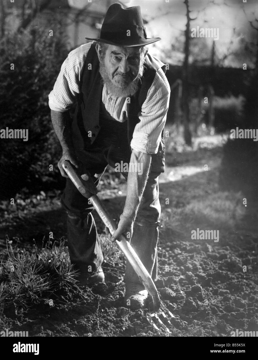 Studies of a man digging hi-res stock photography and images - Alamy