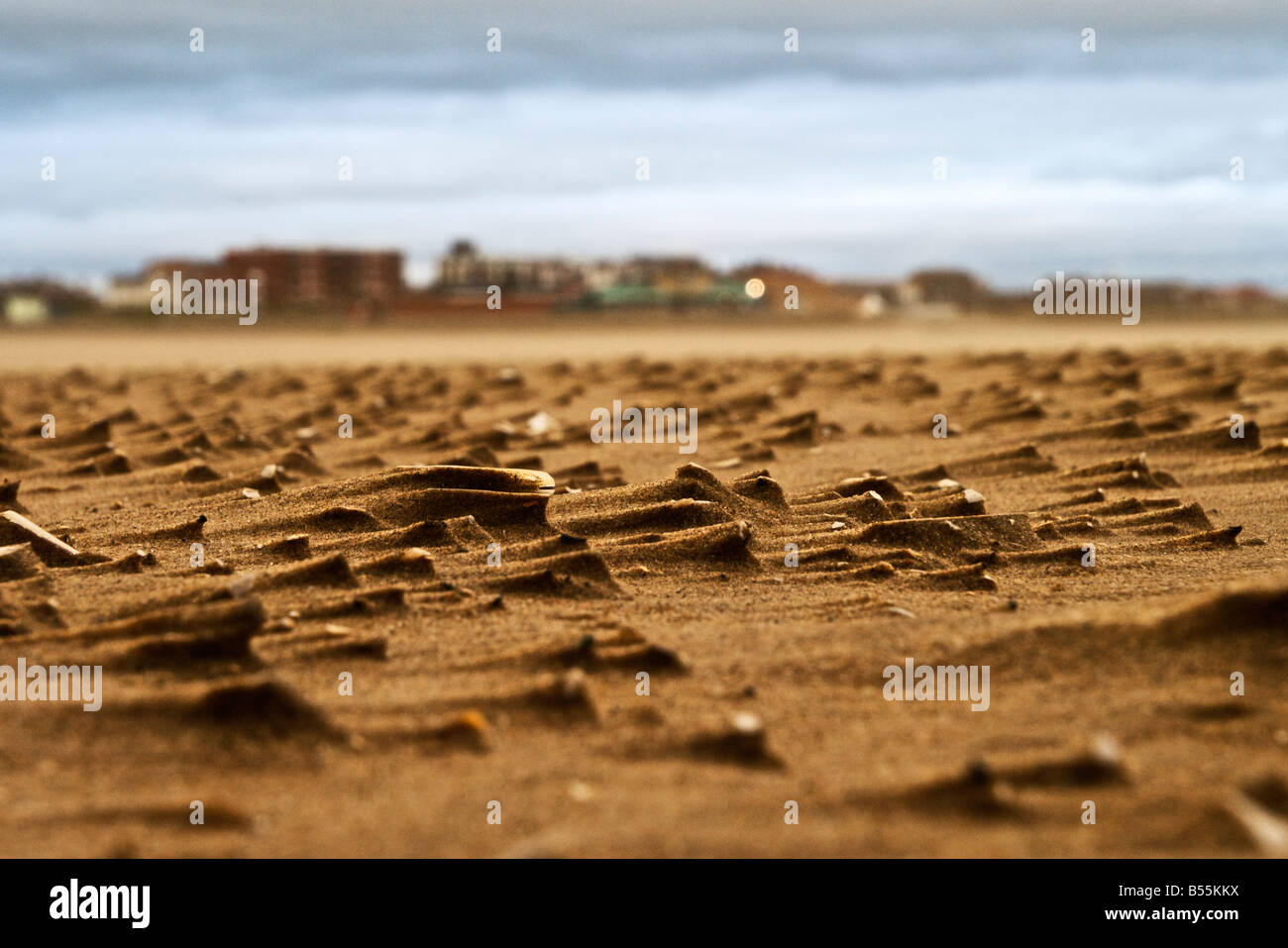 Uk beach shoreline shells hi-res stock photography and images - Alamy