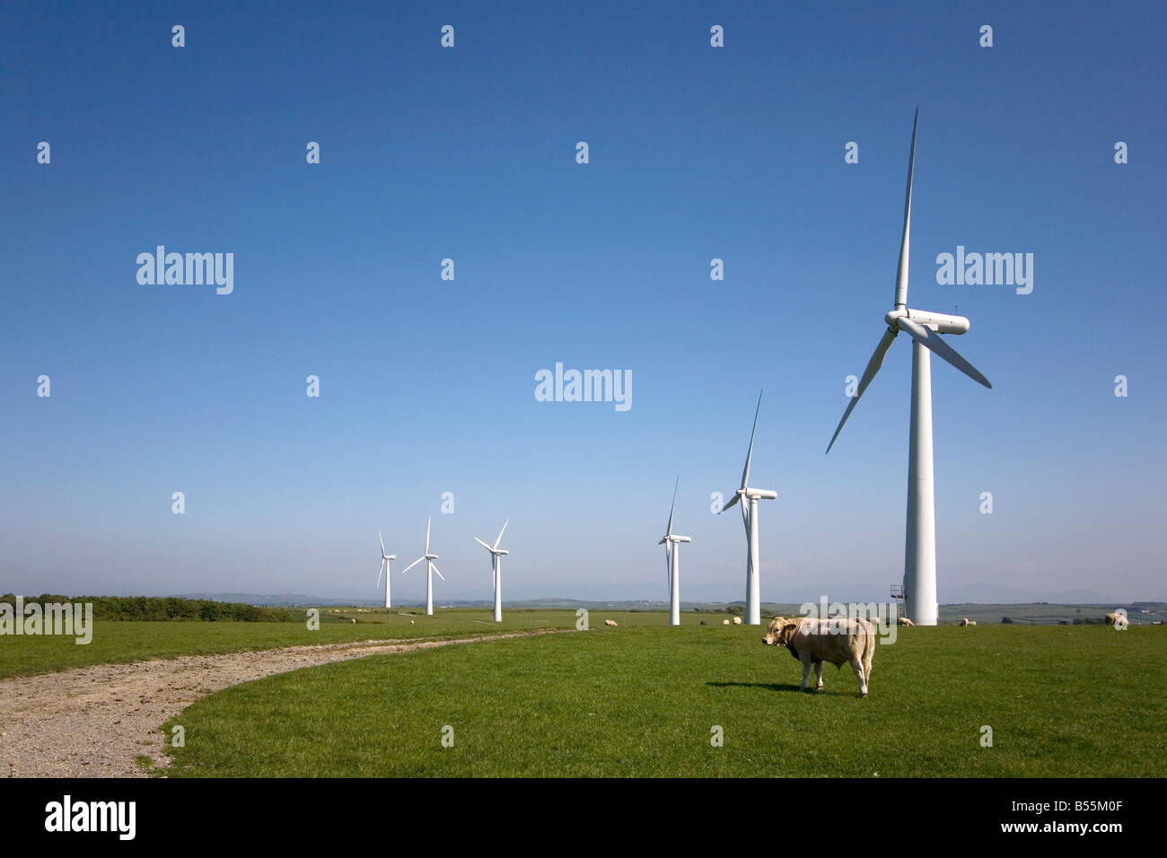 Ecologically friendly future generations farming hi-res stock ...