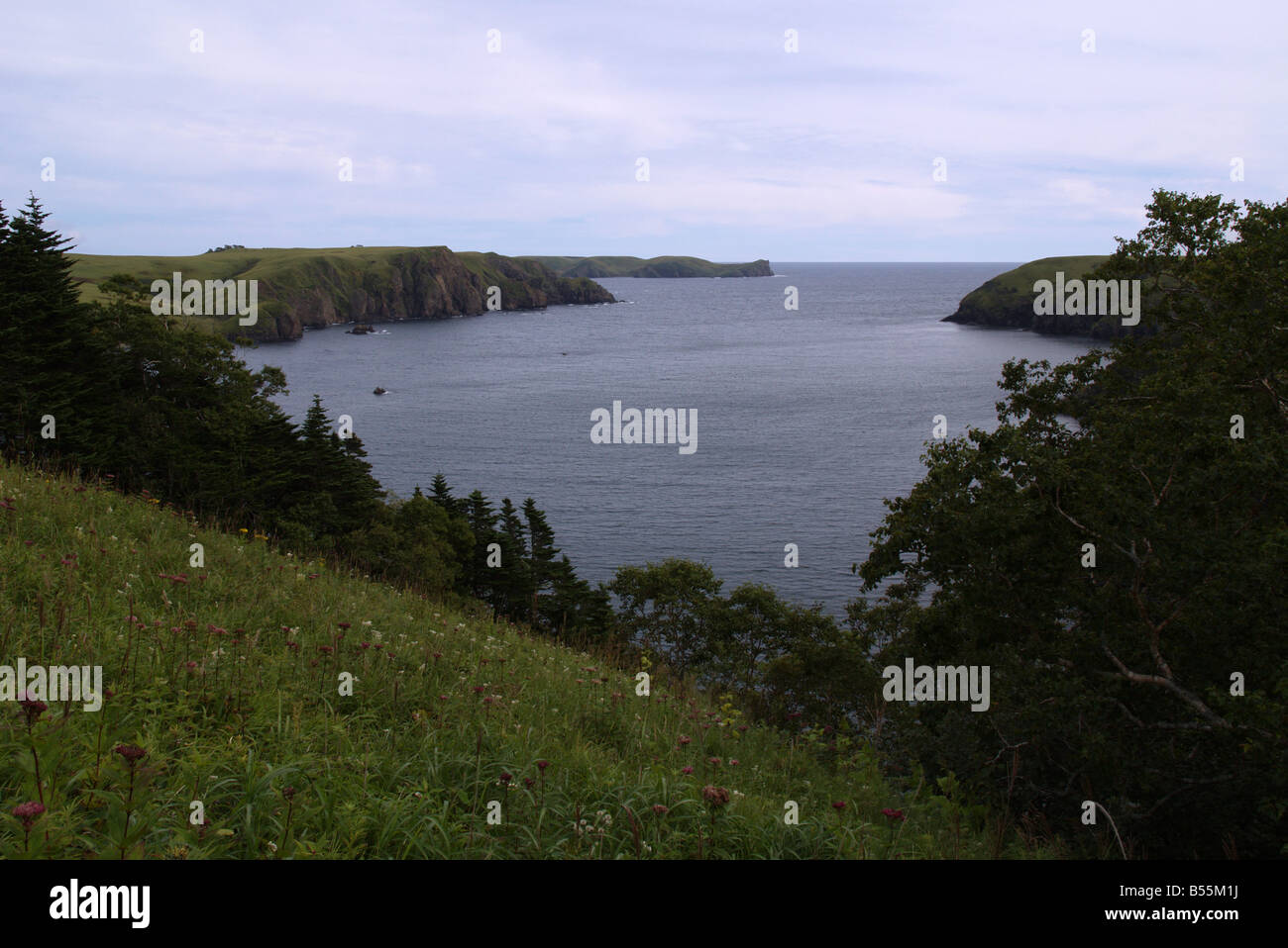 Oceanic bay of Shikotan island Stock Photo - Alamy