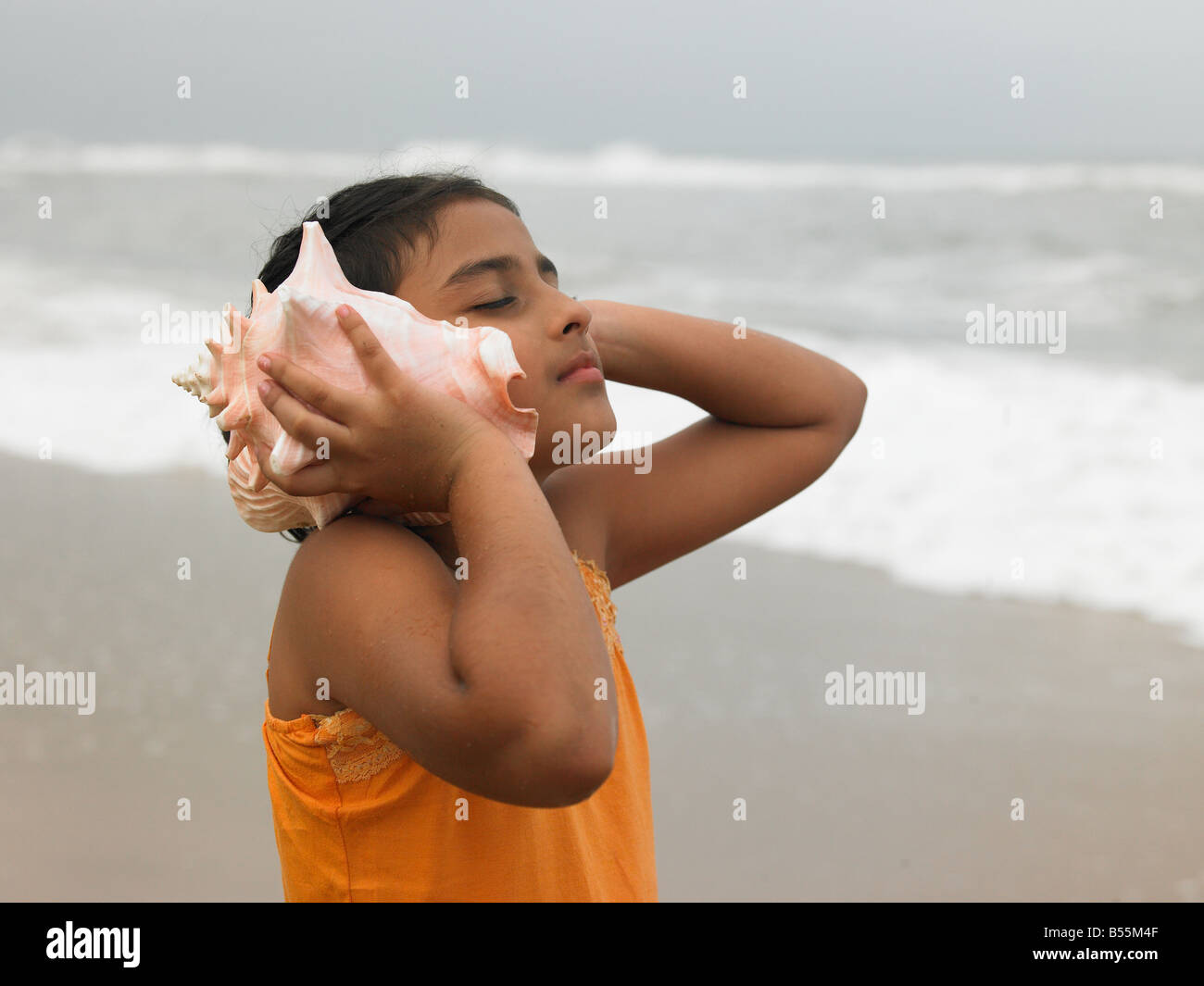 Hand Holding Conch Shell High Resolution Stock Photography and Images ...
