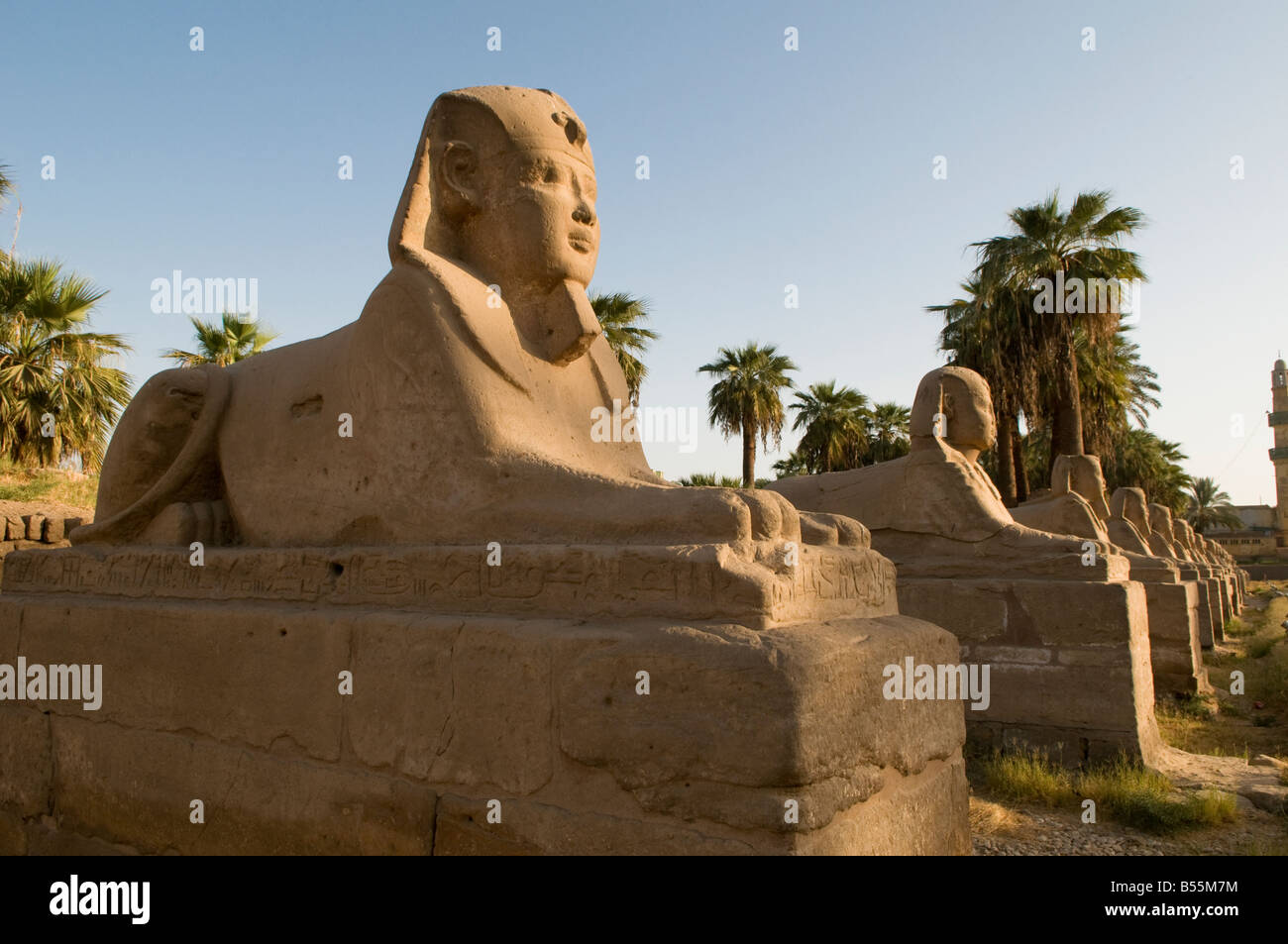 The Avenue of Sphinxes at Luxor Temple of Thebes constructed ...