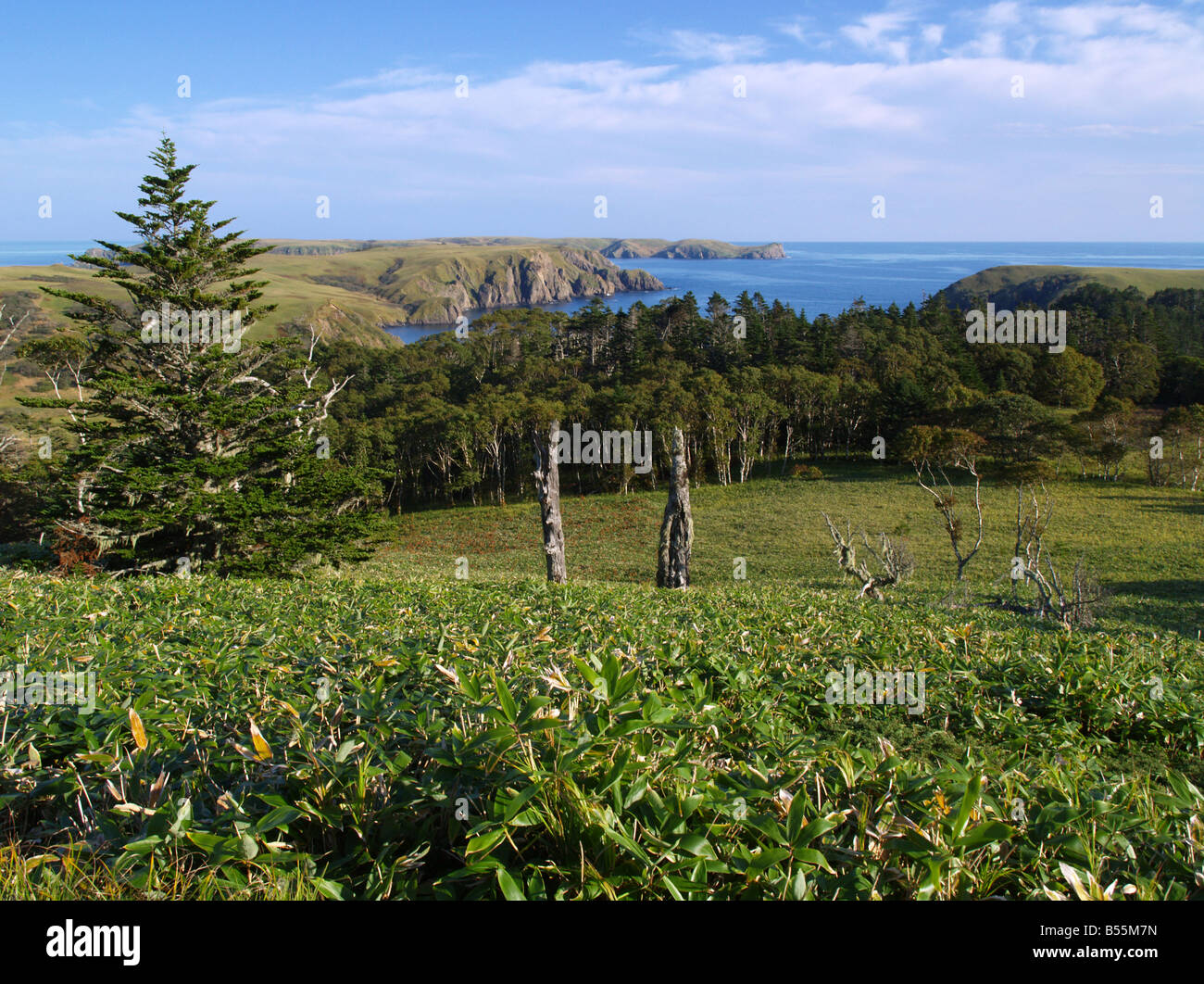 Shikotan islands hi-res stock photography and images - Alamy