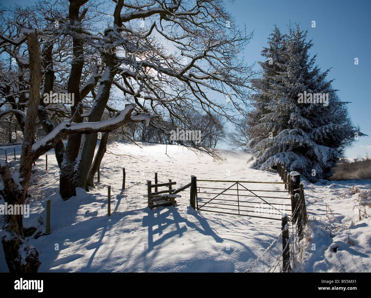 5 barred gate hi-res stock photography and images - Alamy