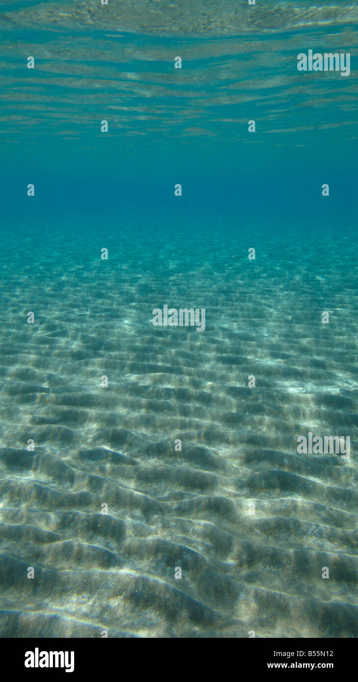 blue water in shallow sandy seabed Stock Photo - Alamy