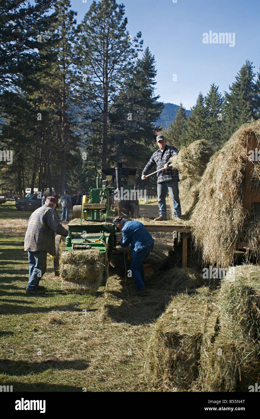 Hay bailing demonstration with a belt driven hay press during steam ...