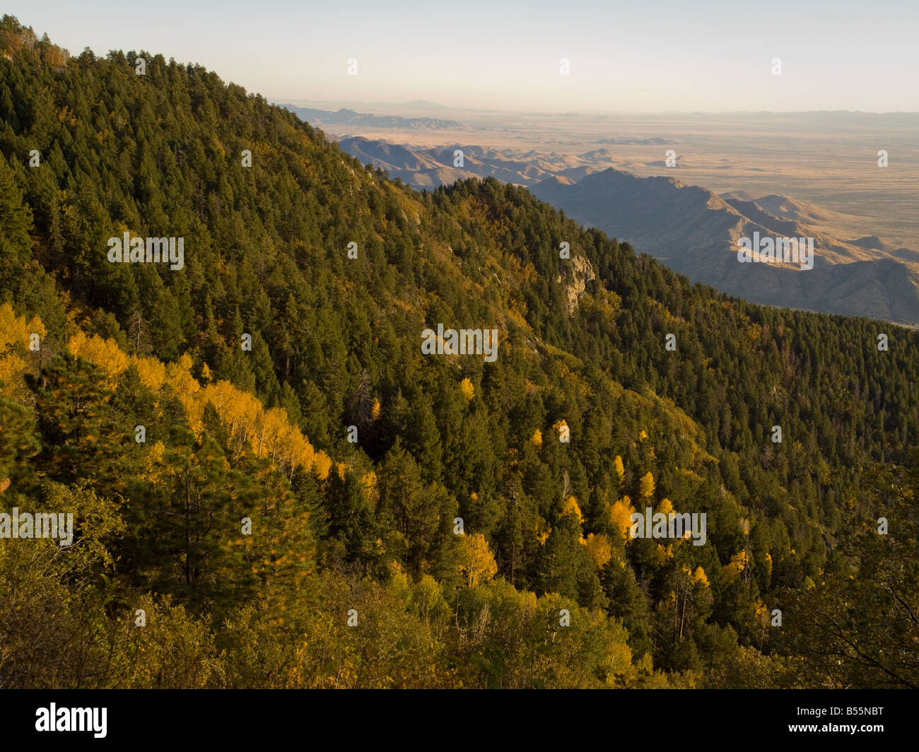 Pinaleno mountains hi-res stock photography and images - Alamy
