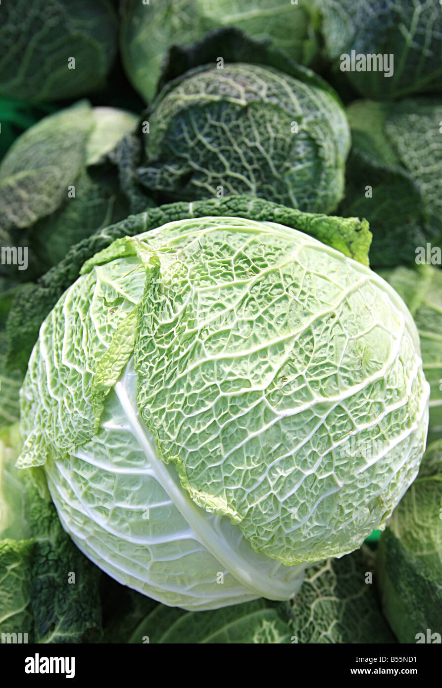 Fresh cabbage at a farmer s market Stock Photo - Alamy