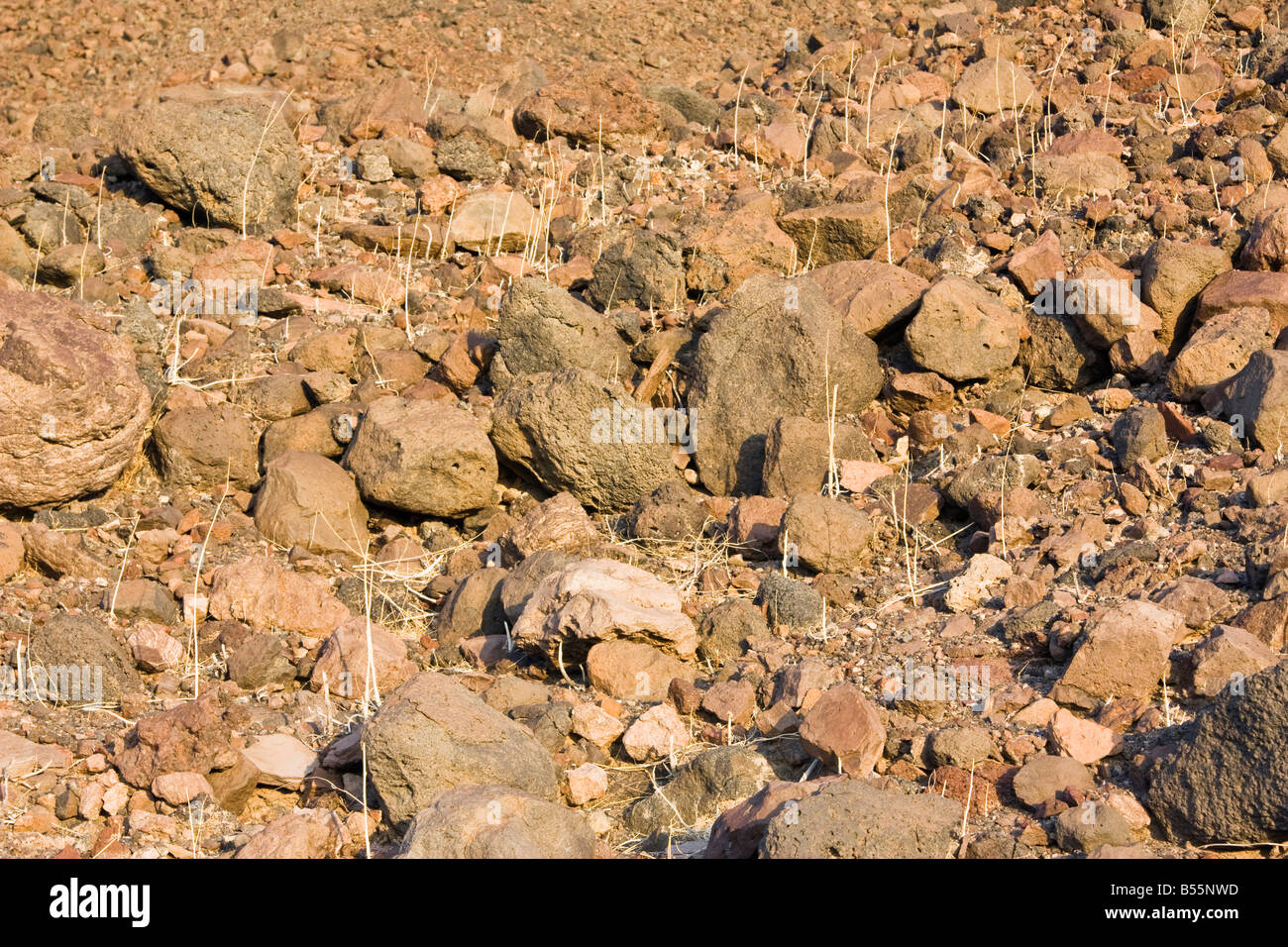 Red rocks and dry plants in the death valley Stock Photo - Alamy
