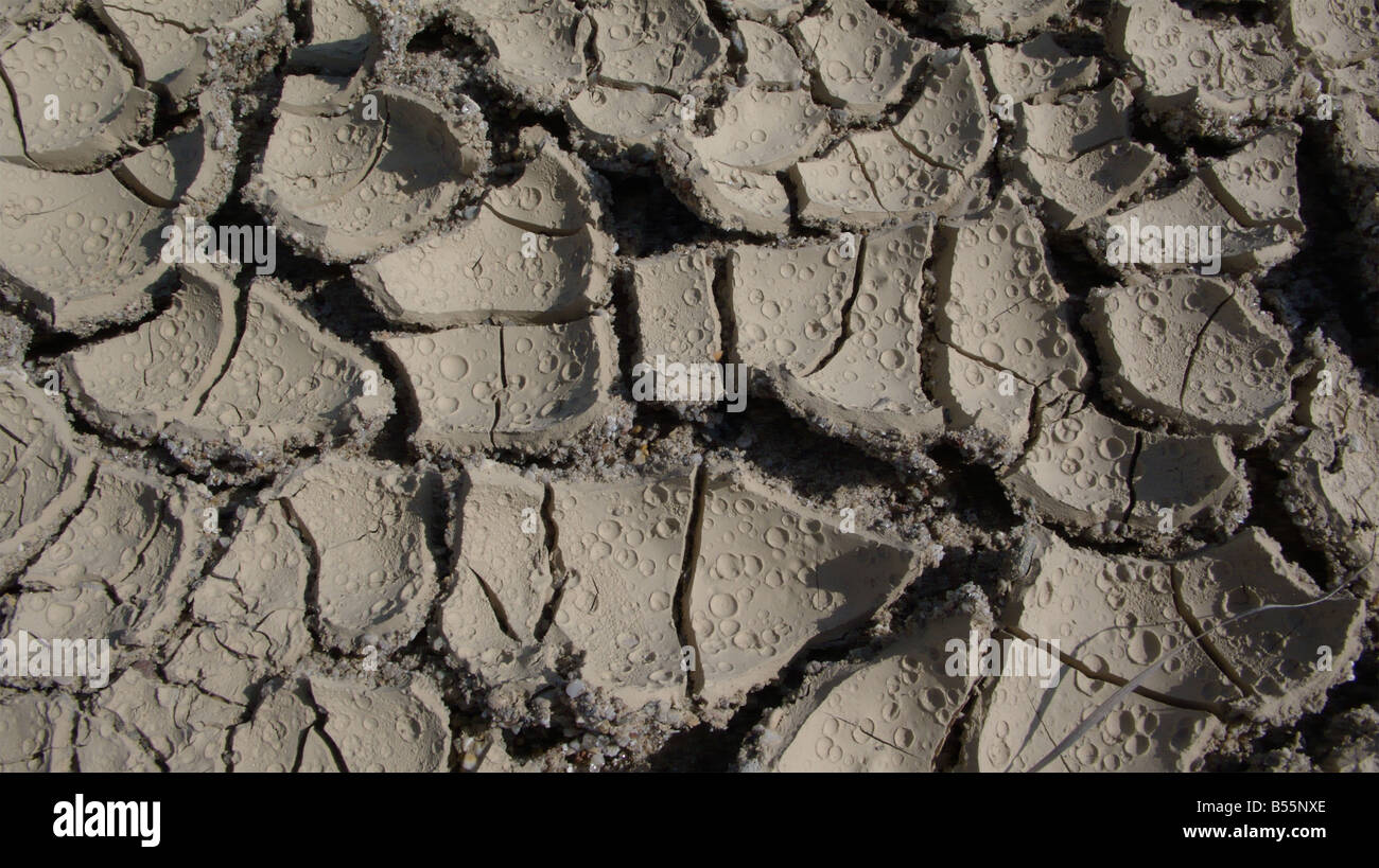 sun dried mud Stock Photo - Alamy