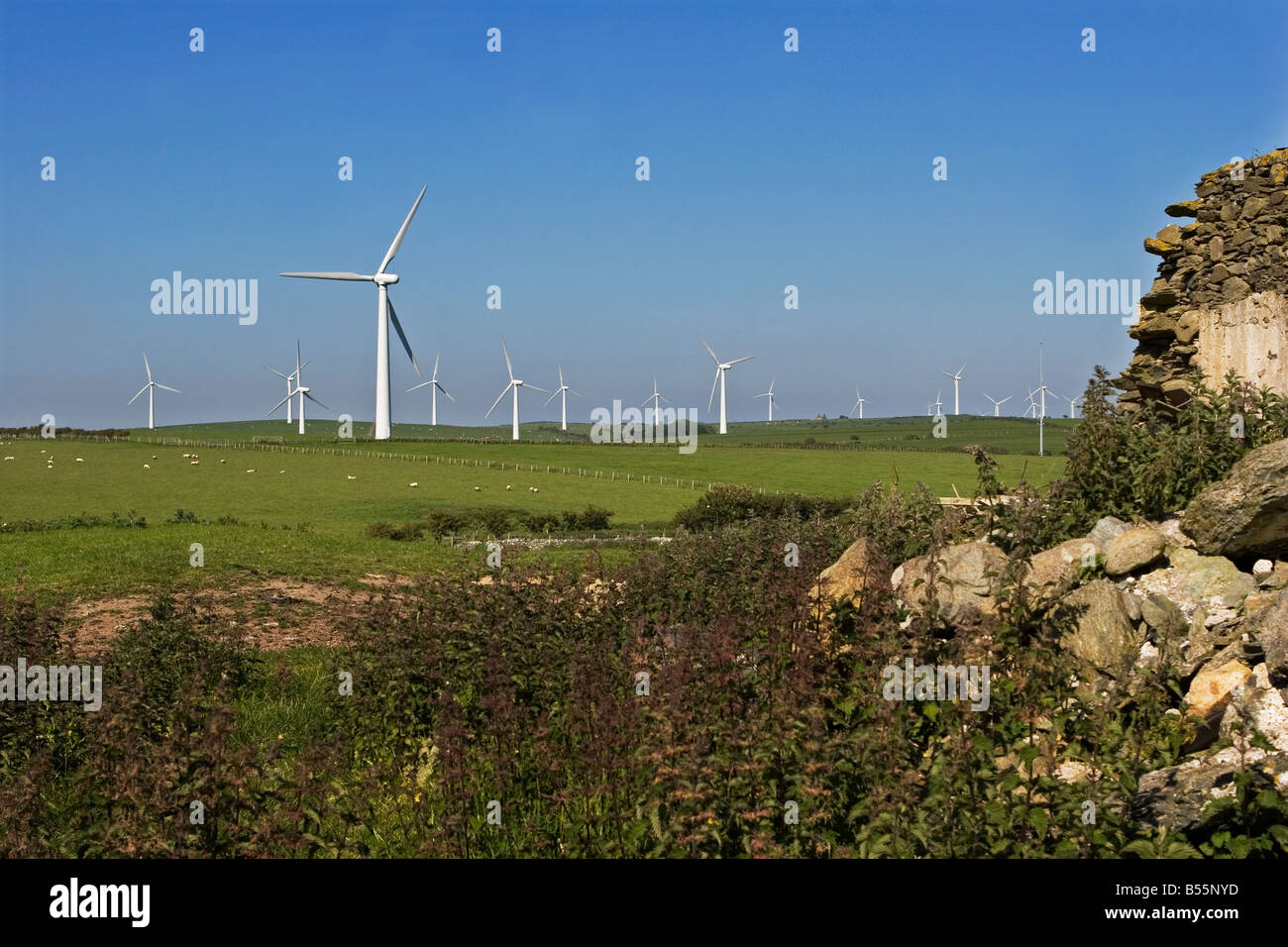 Llyn Alaw High Resolution Stock Photography and Images - Alamy