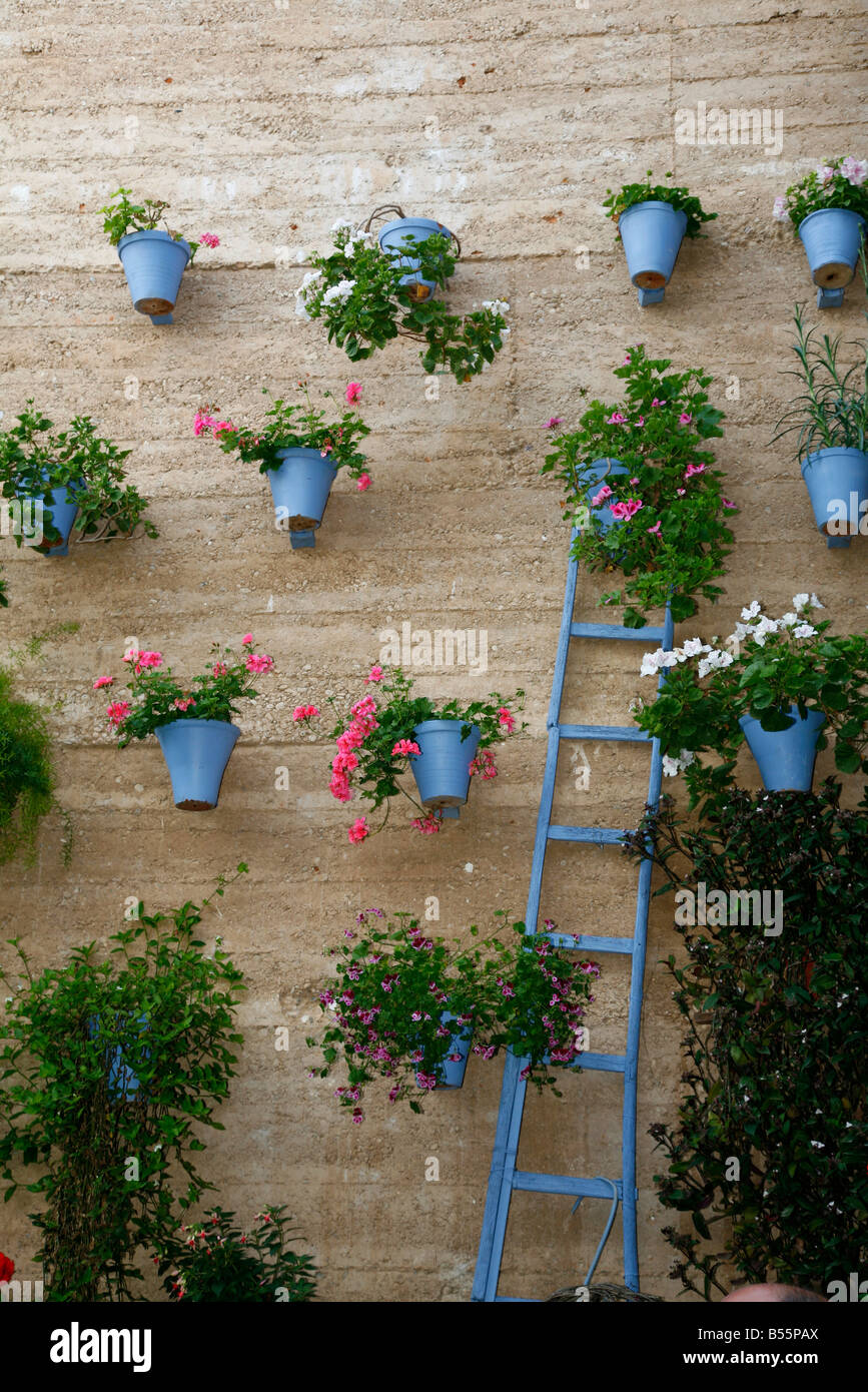 Wall of bright blue pots in a Spanish garden Stock Photo - Alamy