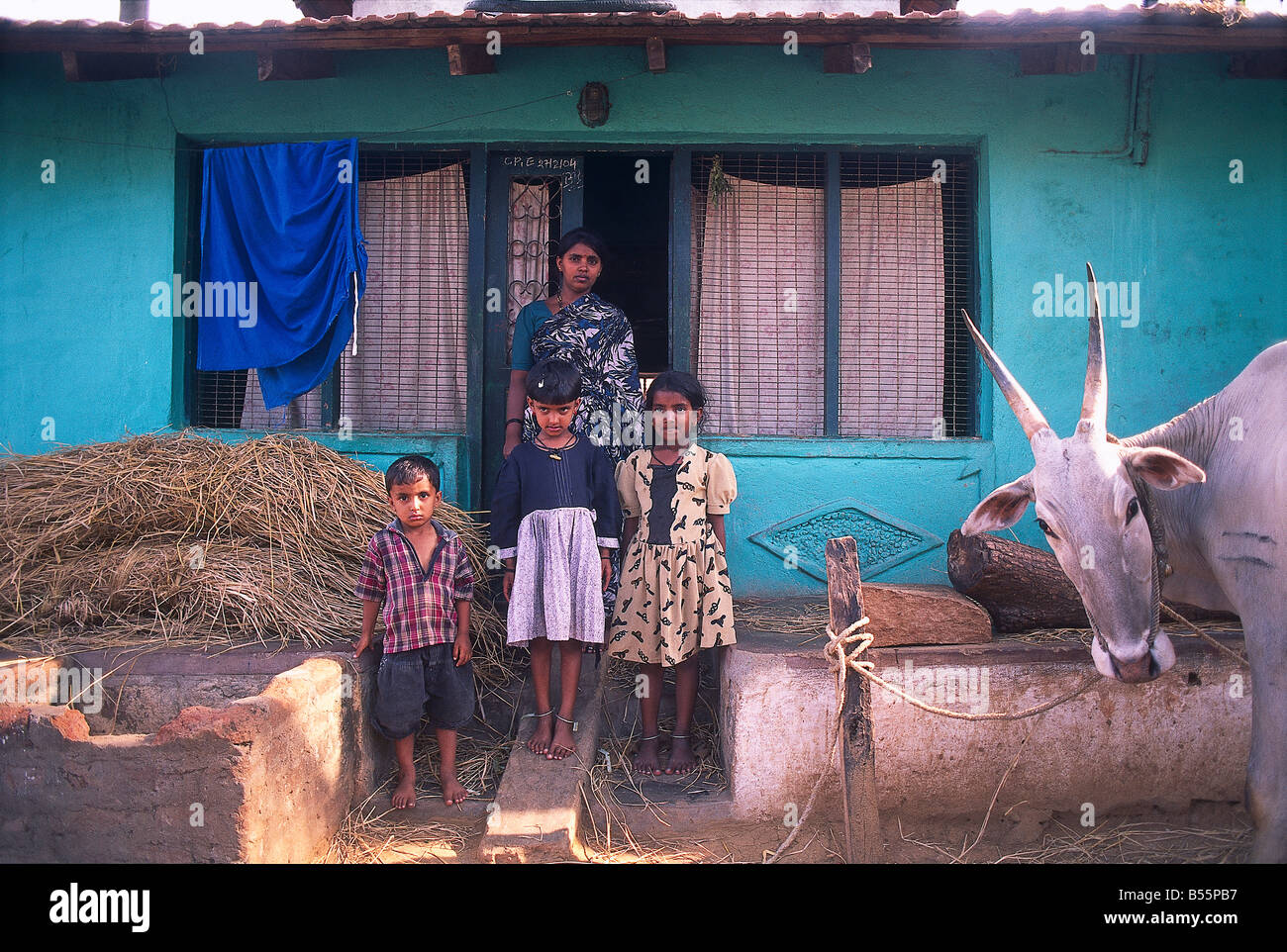 indian family outside traditional family home with cow Stock Photo - Alamy