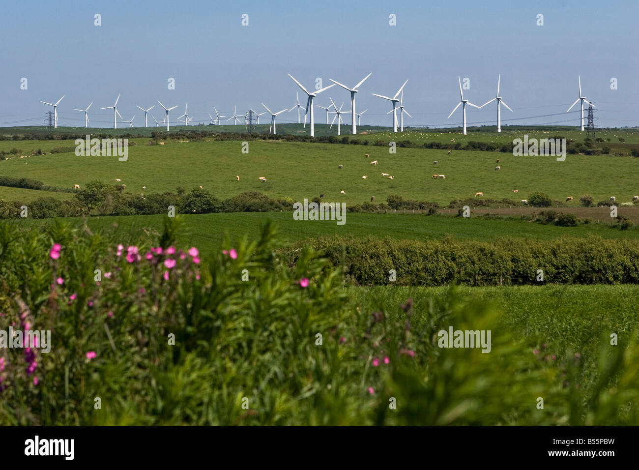 LLyn Alaw Wind Farm Anglesey producing electricity for part of North ...