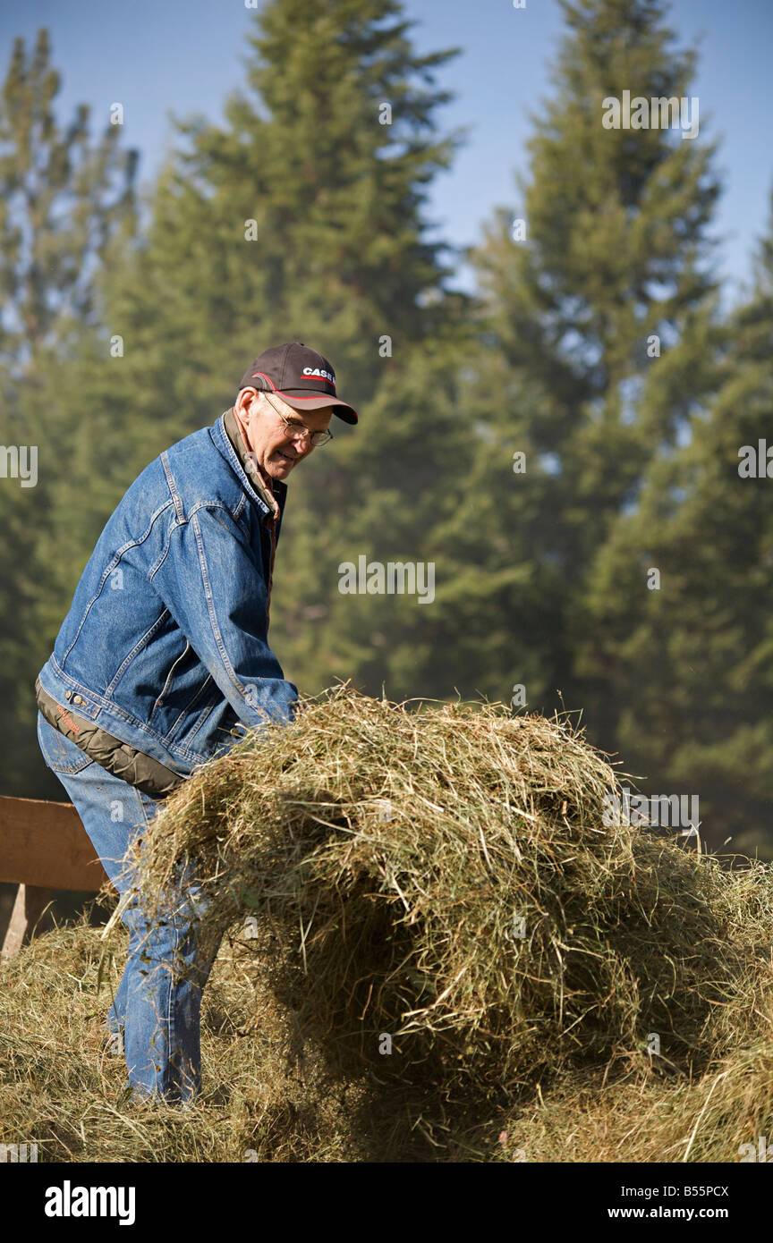 Bailing machinery hi-res stock photography and images - Alamy