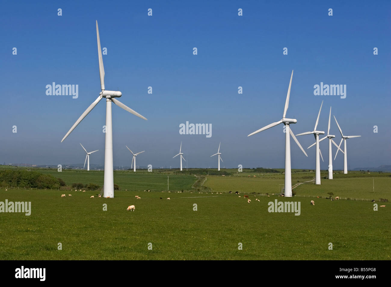 Llyn Alaw High Resolution Stock Photography and Images - Alamy